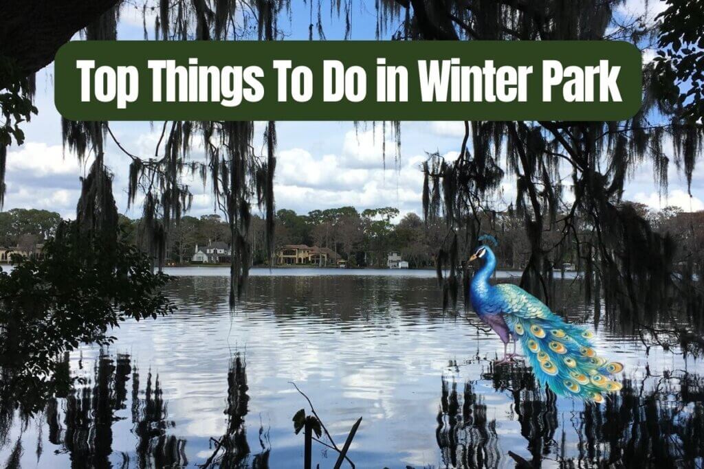 Top Things to Do in Winter Park, FL in 2023 • Authentic Florida
