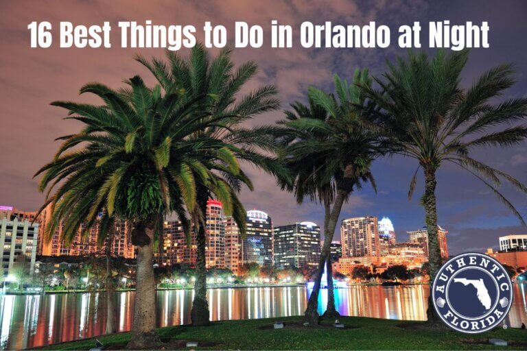 16 Best Things to Do in Orlando at Night • Authentic Florida