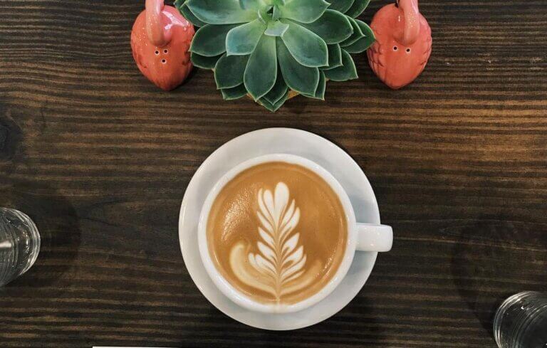 25 of Our Favorite Florida Coffee Shops and Roasters • Authentic Florida