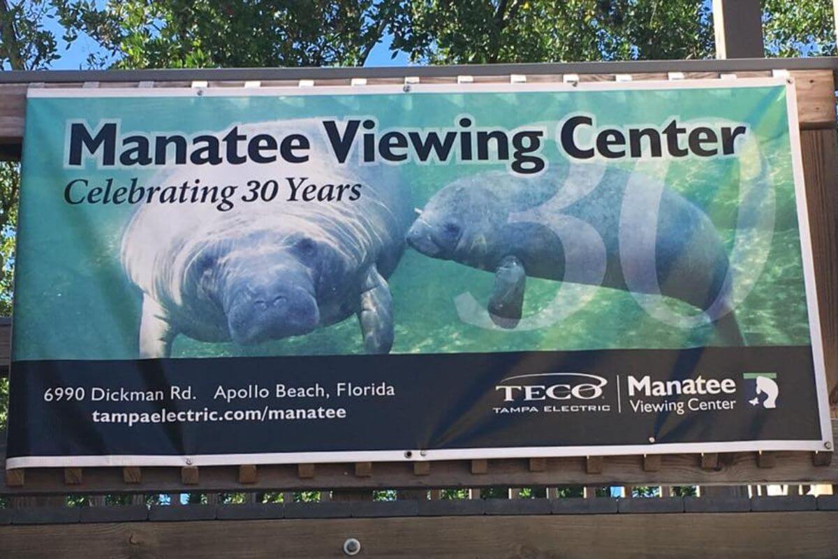 15 Great Places To See Florida Manatees * Authentic Florida