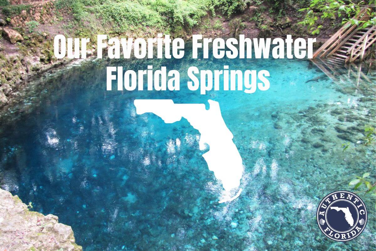 Our 19+ Favorite Freshwater Florida Springs for 2023 • Authentic Florida