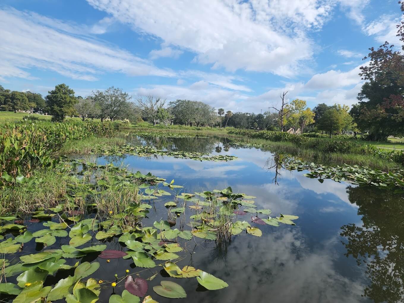 10 Best Things to Do in Leesburg, FL • Authentic Florida