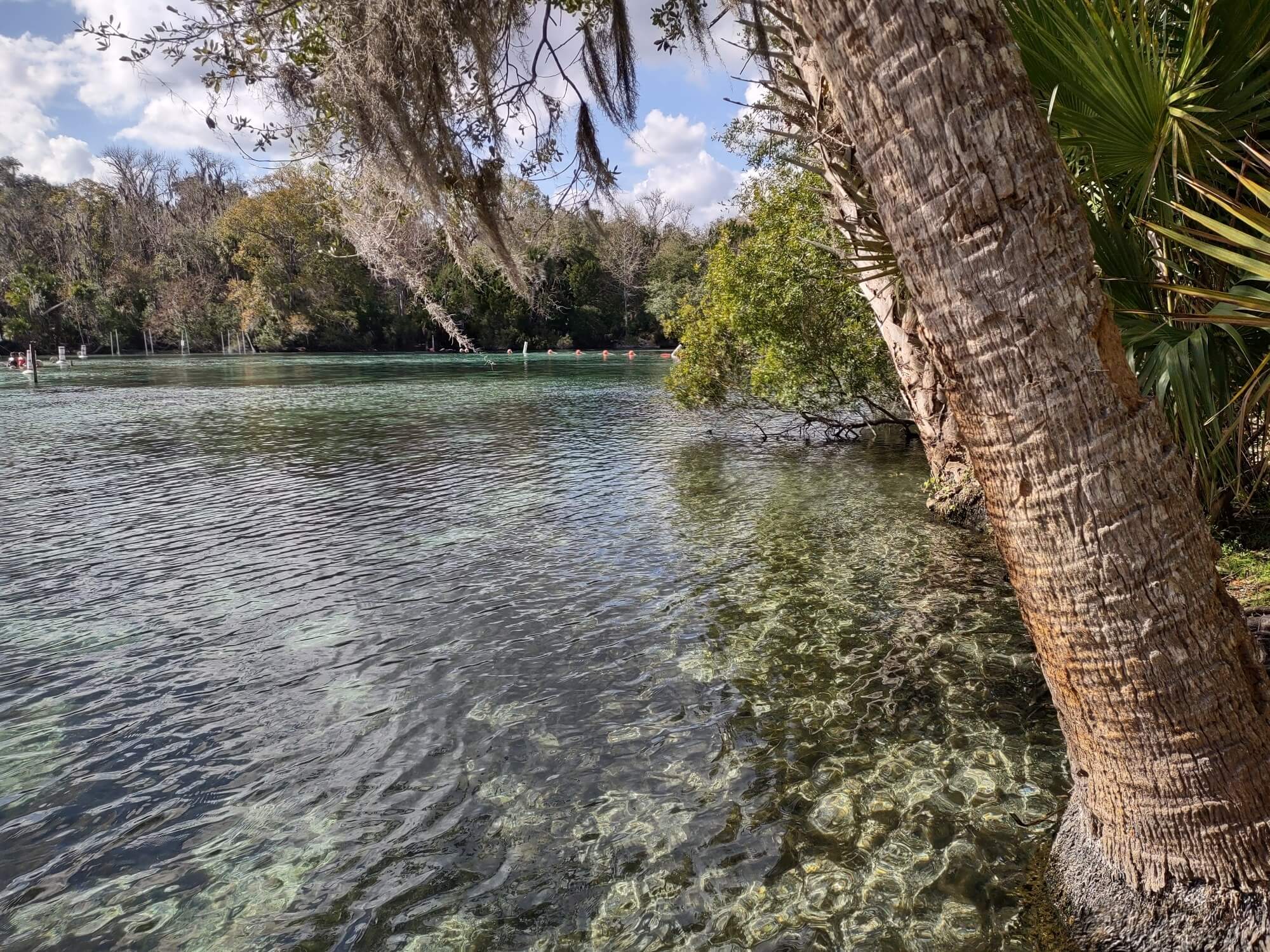 Alexander Springs + Nearby Places to Eat, Stay, & Shop • Authentic Florida