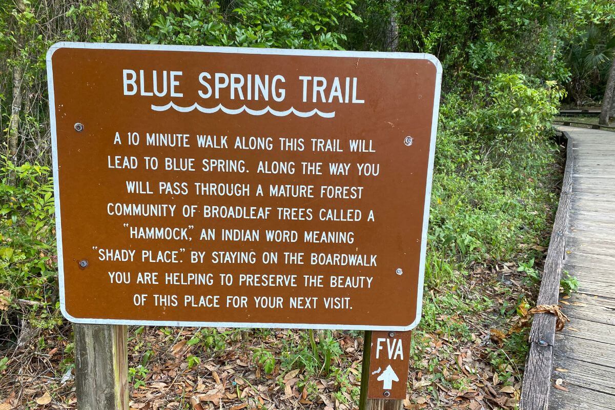 Blue Spring State Park + Nearby Places to Eat, Stay, & Shop