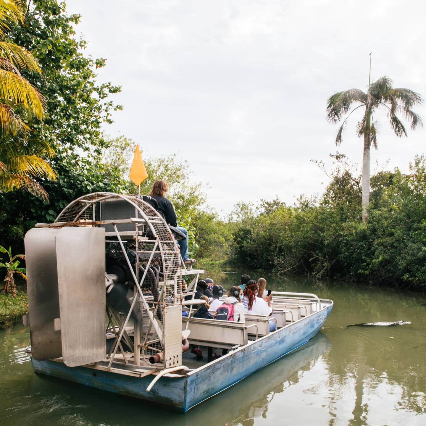5 Best Things to Do in Homestead, FL • Authentic Florida