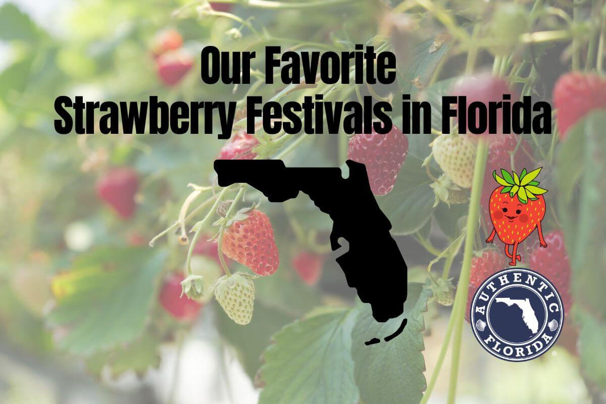 9 of Our Favorite Strawberry Festivals in Florida • Authentic Florida