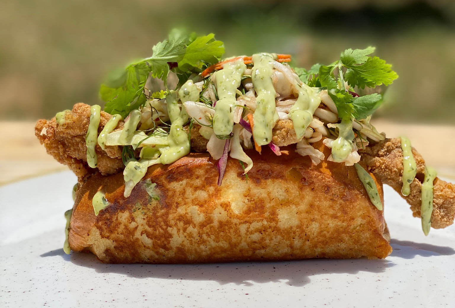 Delicious Black-Owned Restaurants in Florida • Authentic Florida