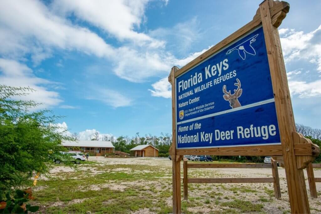 Bahia Honda State Park + Nearby Places to Eat, Stay, & Shop