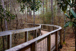 Falling Waters State Park + Nearby Places to Eat, Stay, & Shop ...