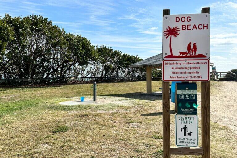 15+ Dog-Friendly Beaches & Parks in Florida - Authentic Florida