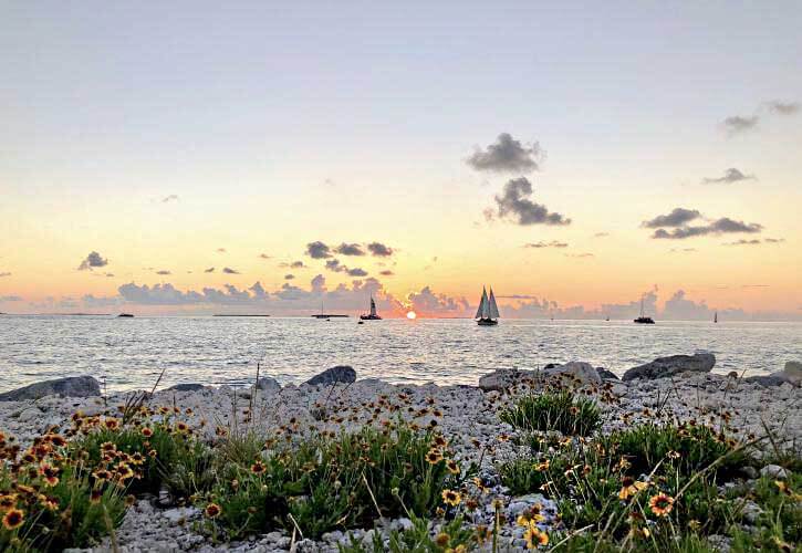 Fort Zachary Taylor Historic State Park + Nearby Places to Eat, Stay ...