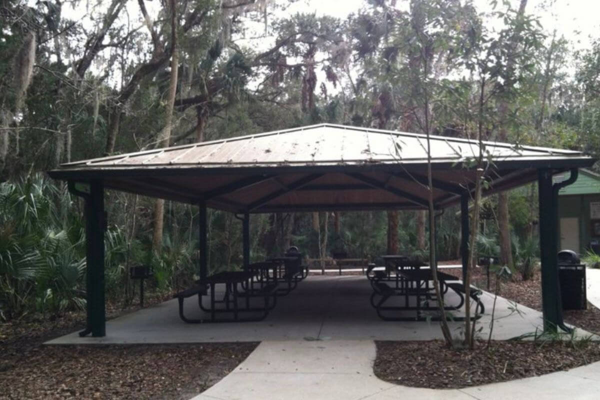Green Springs Park + Nearby Places to Eat, Stay, & Shop • Authentic Florida