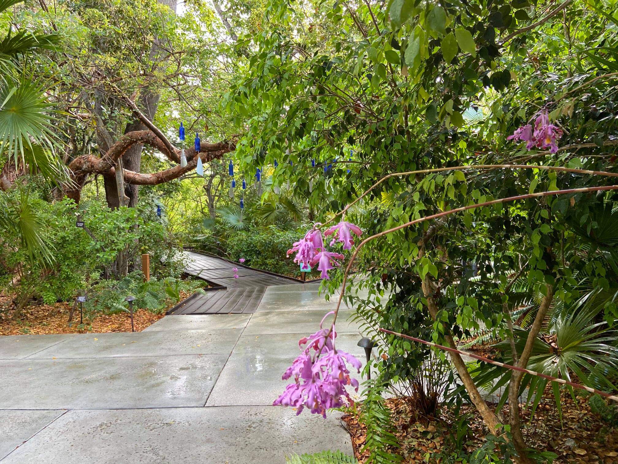 7 Best Places to Elope in Florida • Authentic Florida
