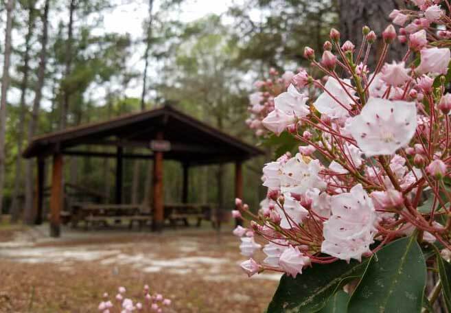Ponce de Leon Springs State Park + Nearby Places to Eat, Stay, & Shop