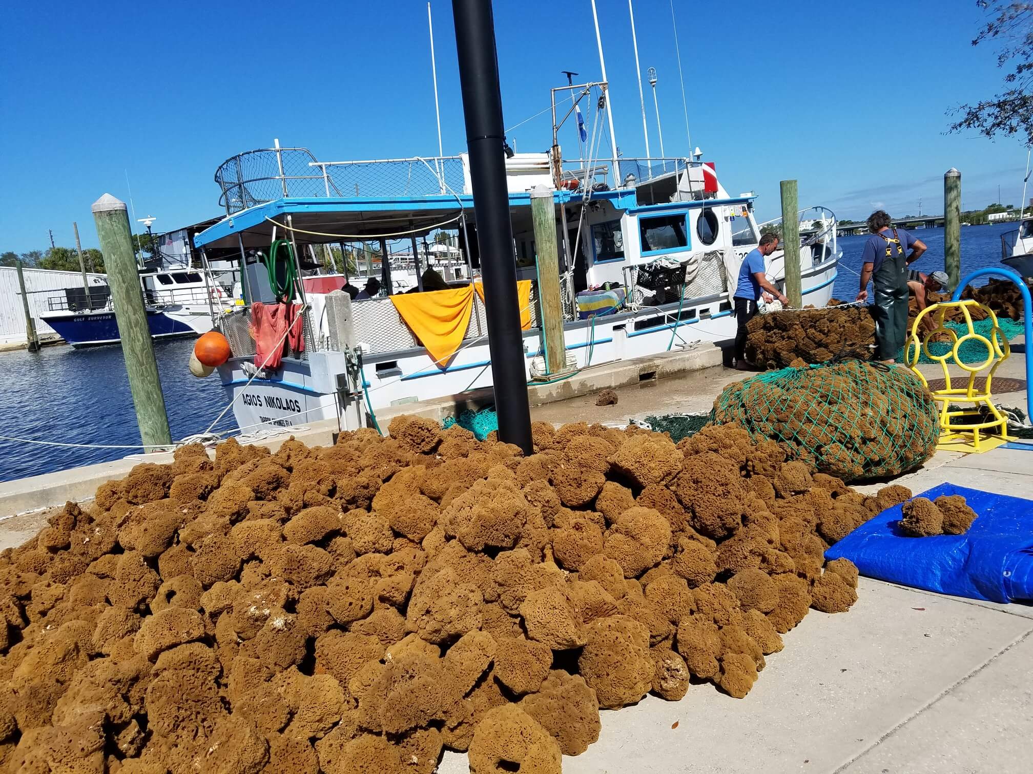 Authentic Tarpon Springs: Sponge Capital of the World • Authentic Florida