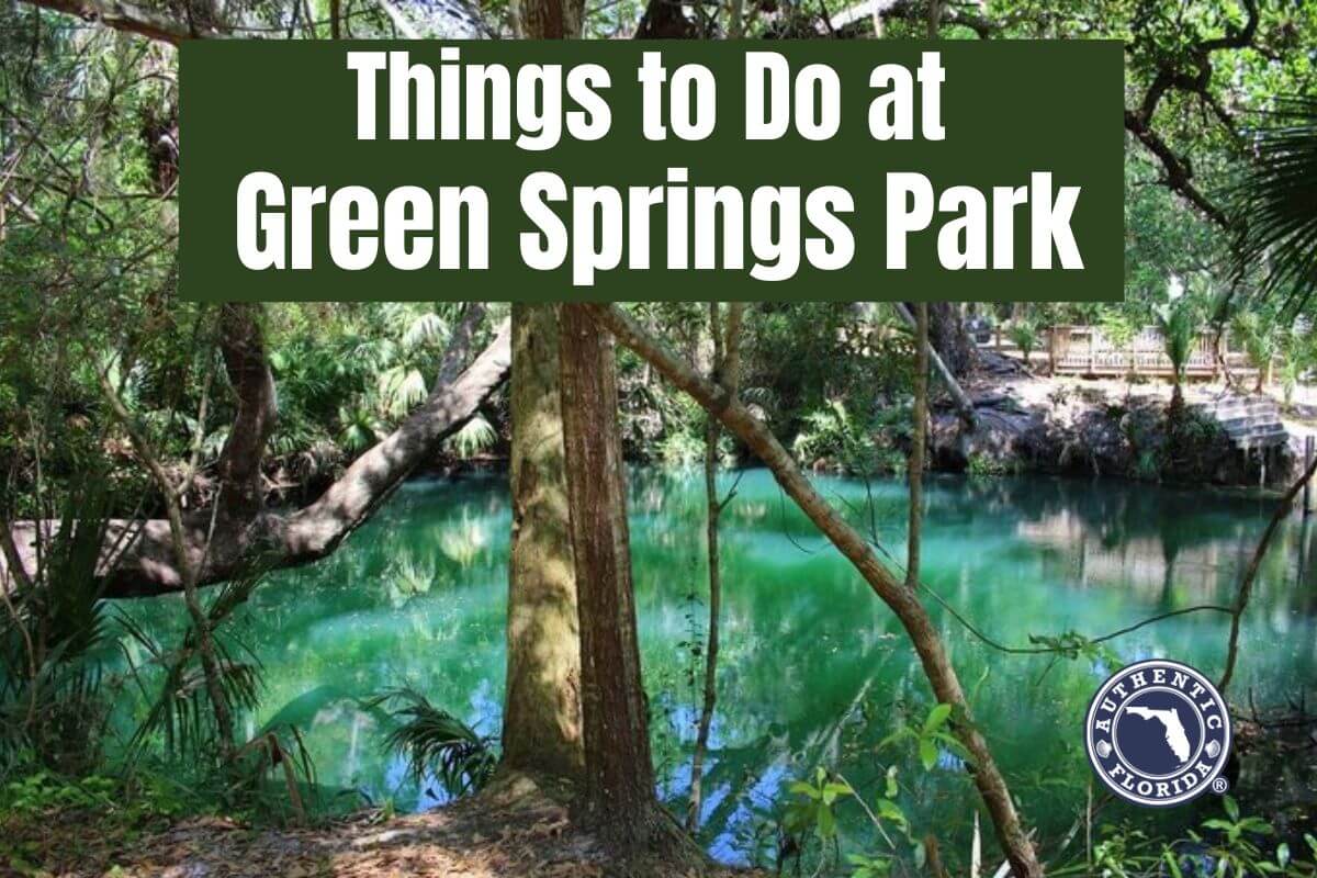 Green Springs Park + Nearby Places to Eat, Stay, & Shop • Authentic Florida
