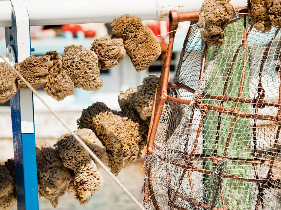 Authentic Tarpon Springs: Sponge Capital of the World • Authentic Florida