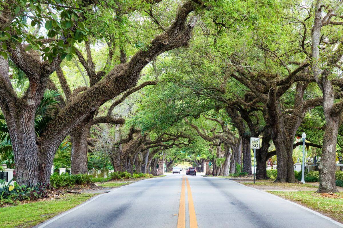 9 Top Things to Do in Coral Gables • Authentic Florida