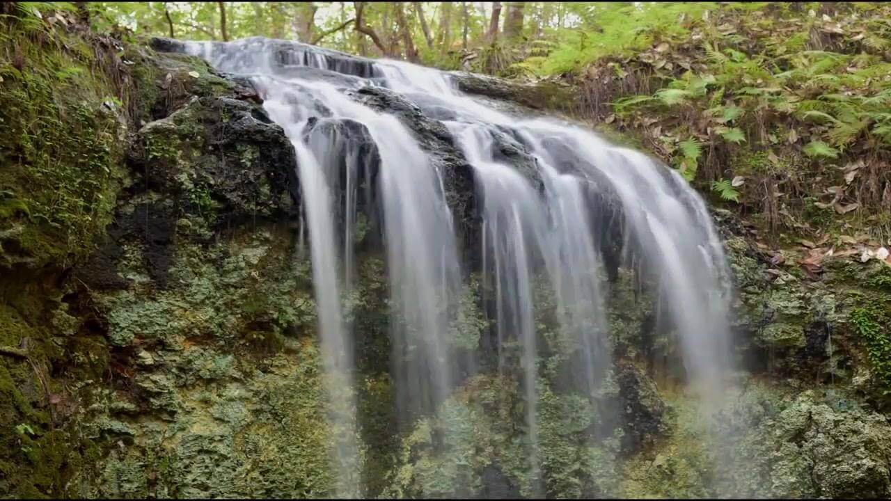 A Road Trip to See Waterfalls in Florida • Authentic Florida