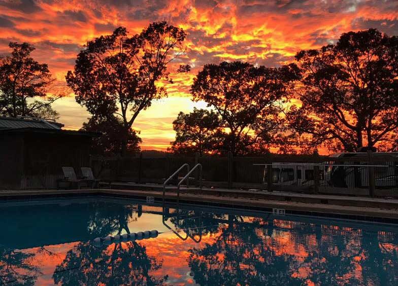 5 Best Places for Glamping in Florida • Authentic Florida