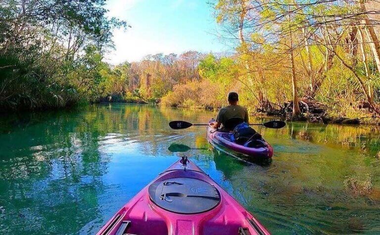 27 Best Places to Kayak in Florida • Authentic Florida