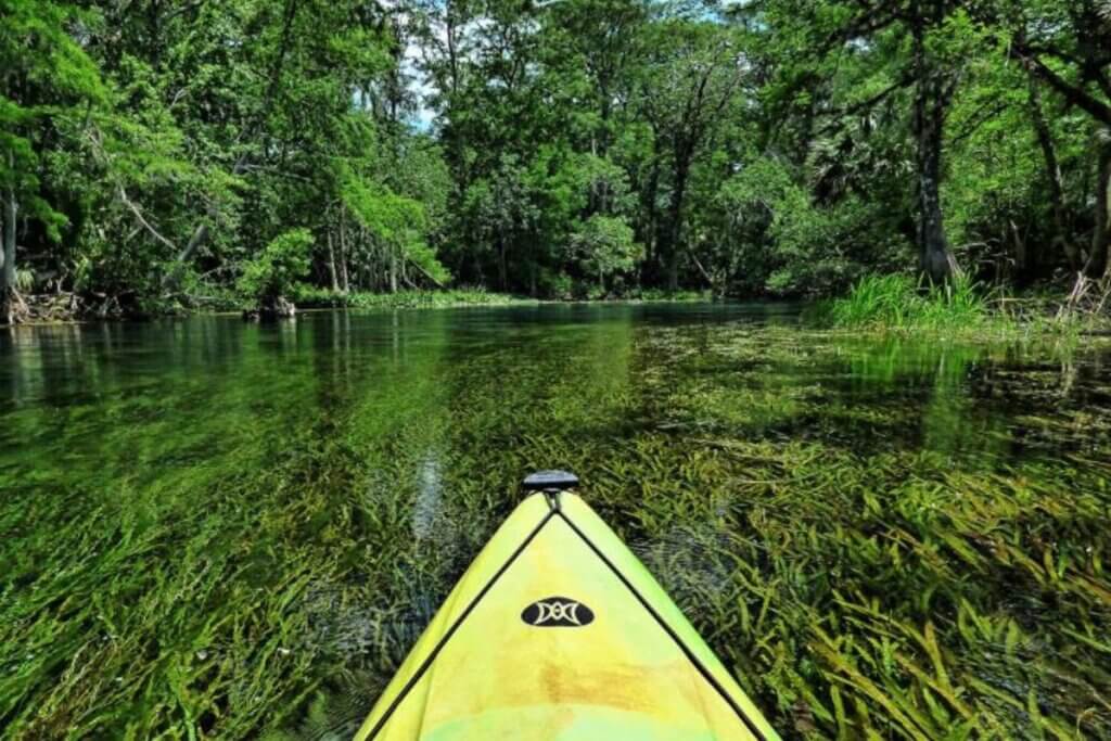 27 Best Places to Kayak in Florida • Authentic Florida
