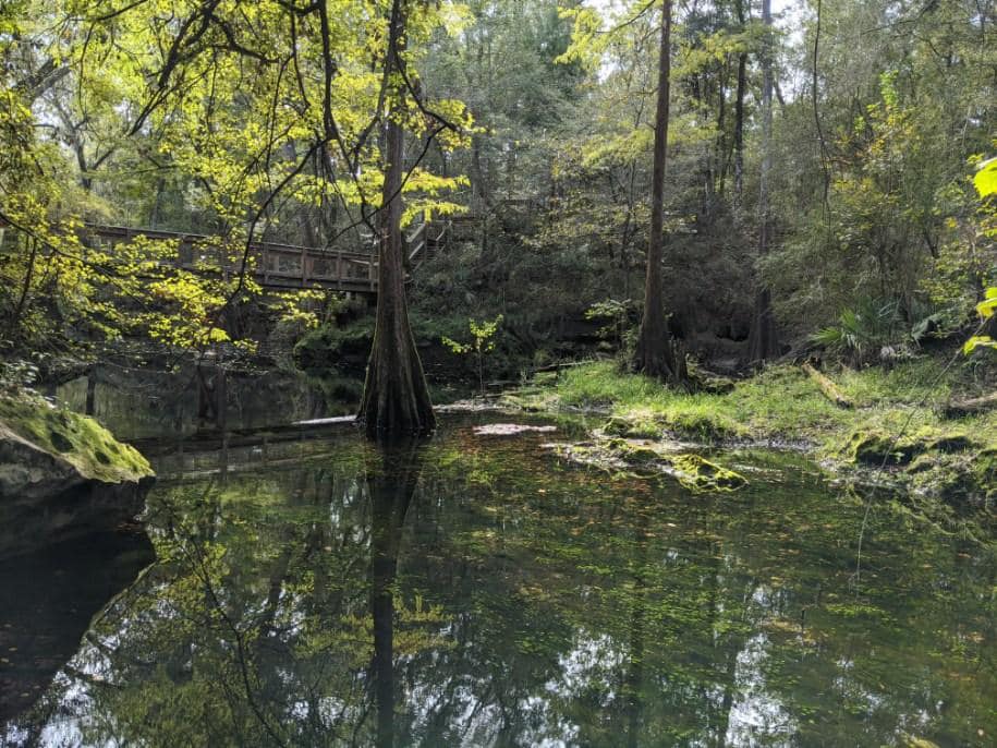 Six Unforgettable Adventures in the Suwannee River Valley