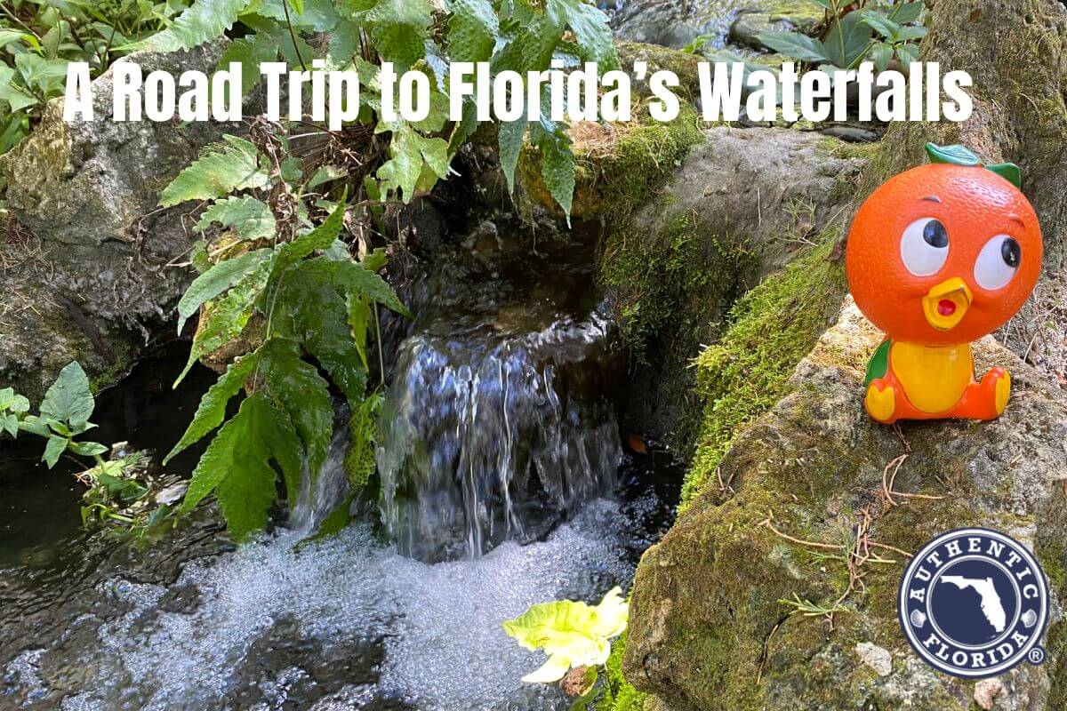 A Road Trip to See Waterfalls in Florida • Authentic Florida
