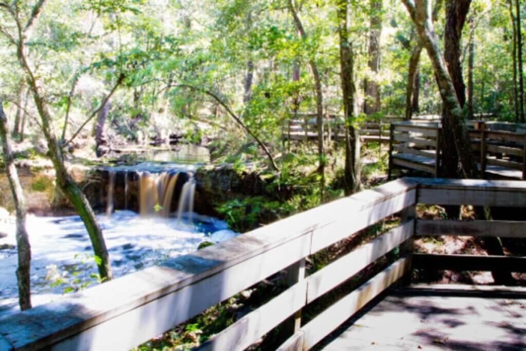 19 Best Things to Do in Lake City, FL • Authentic Florida