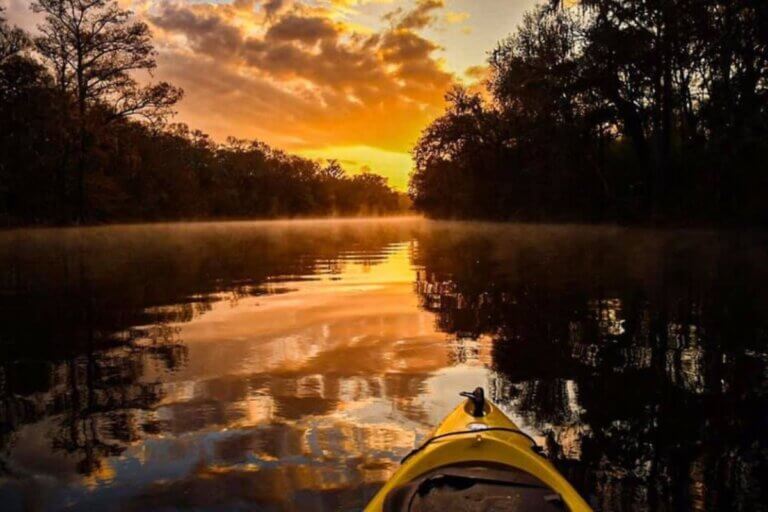 27 Best Places to Kayak in Florida • Authentic Florida