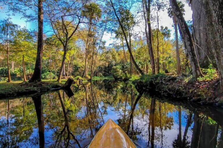 27 Best Places to Kayak in Florida • Authentic Florida