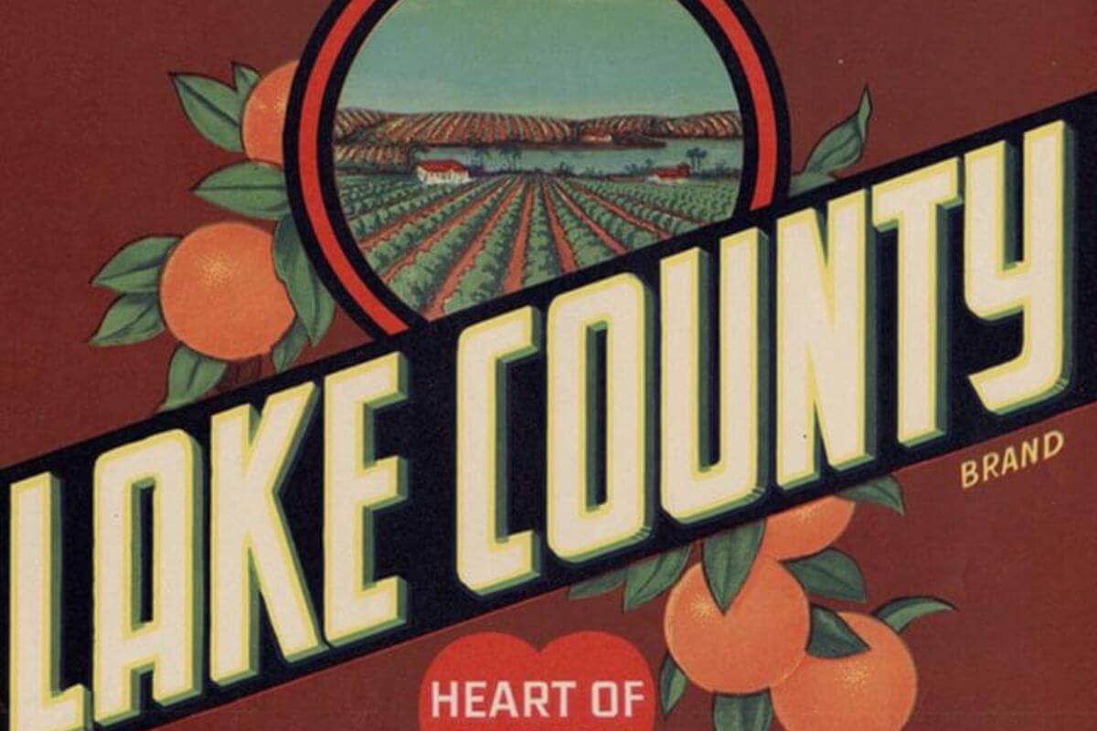 A Guide to 2023 Citrus Label Tours in Florida • Authentic Florida