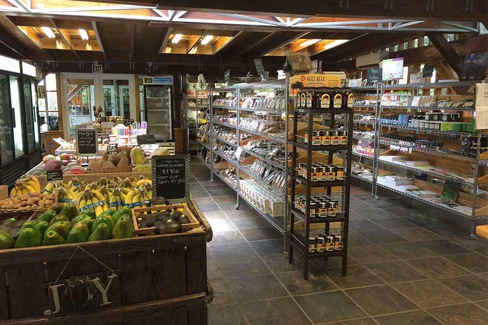 We're "Nuts" About These Peanut Farms in Florida • Authentic Florida