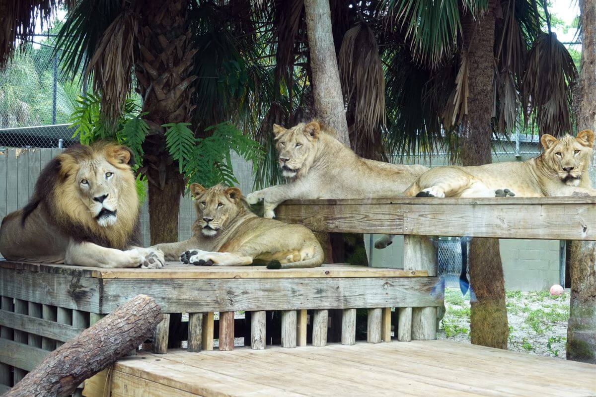 Ultimate Guide to Naples, Florida 2023 • Authentic Florida