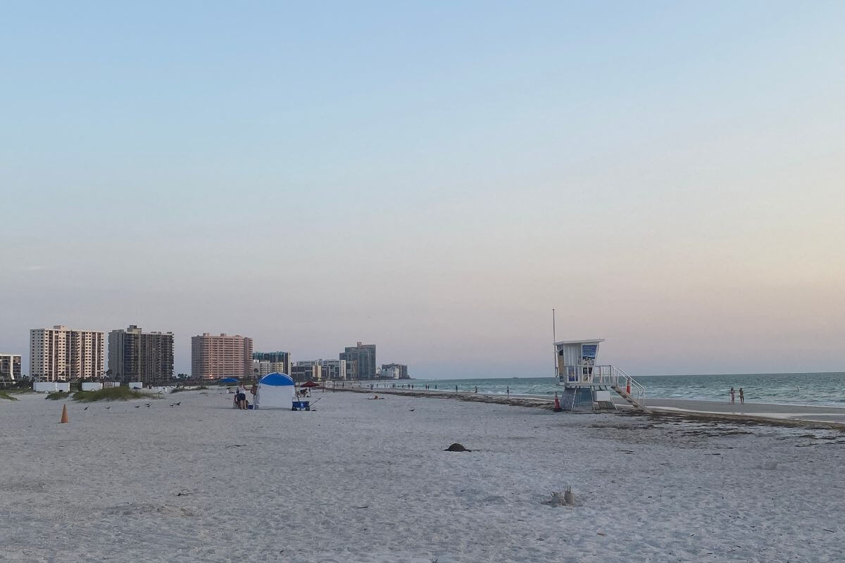 21 Best Places to Find Sand Dollars in Florida • Authentic Florida