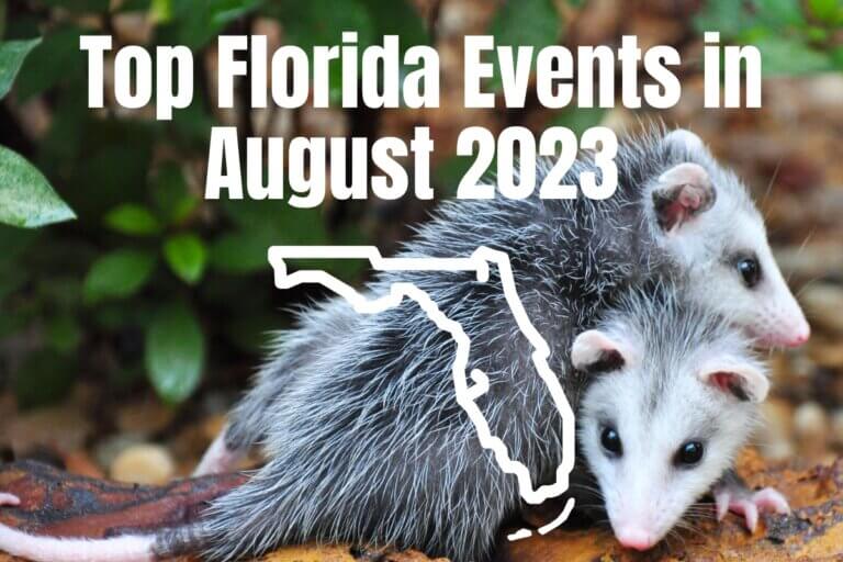 14 Top Florida Events in August 2023 • Authentic Florida