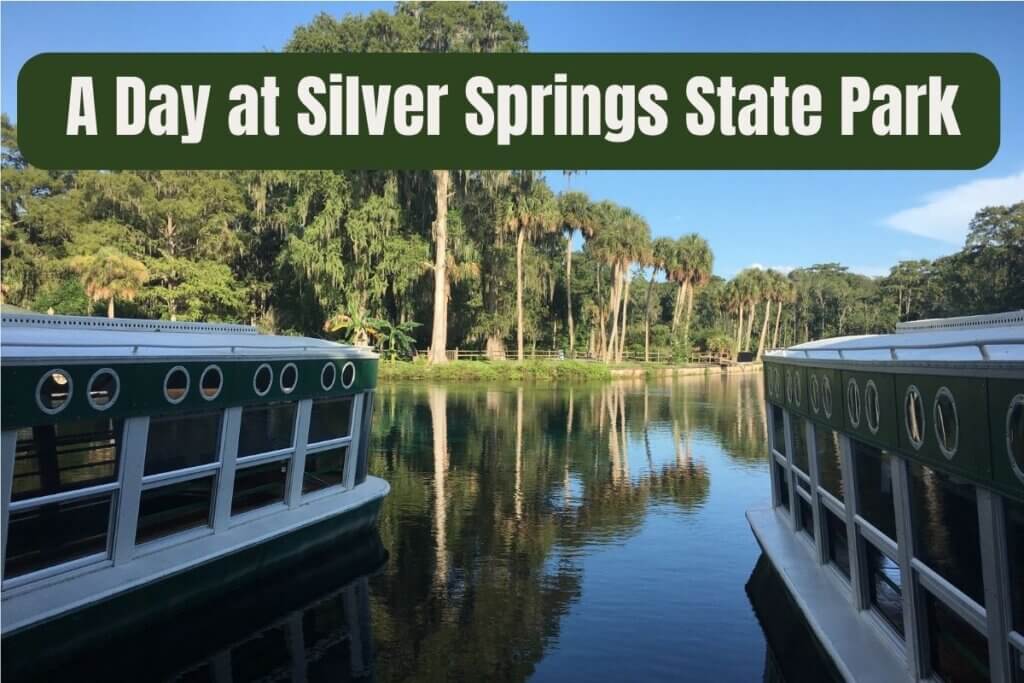 A Day at Silver Springs State Park in 2023 • Authentic Florida
