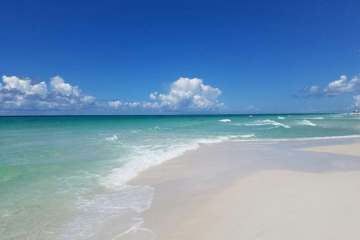 21 Best Places to Find Sand Dollars in Florida • Authentic Florida
