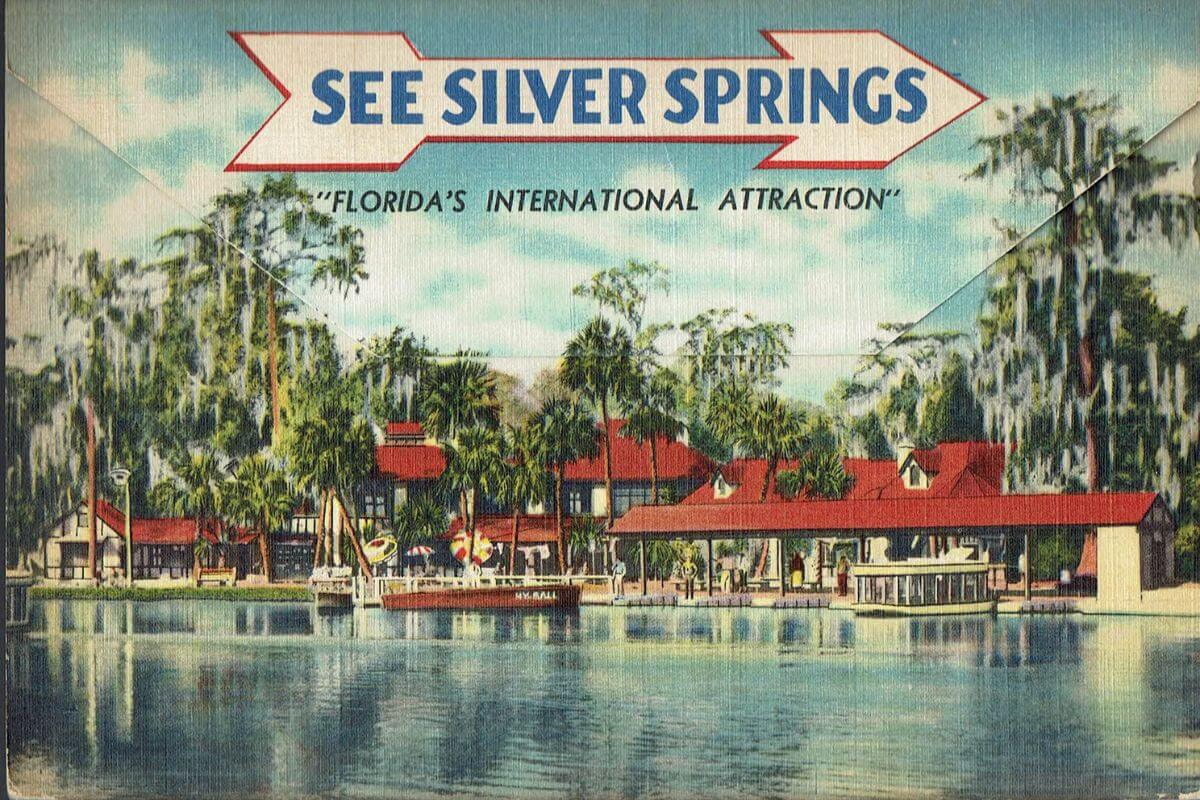 A Day at Silver Springs State Park in 2023 • Authentic Florida