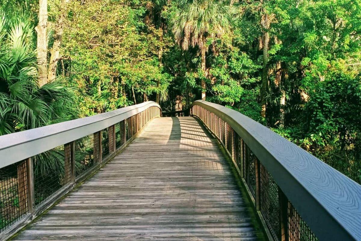 A Day at Silver Springs State Park in 2023 • Authentic Florida