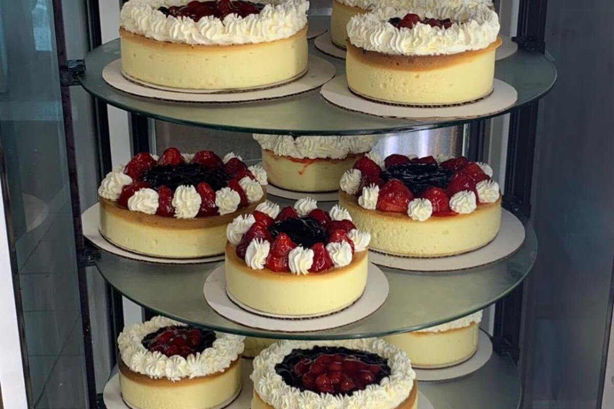Top Places to Get the Best Cheesecake in Florida (2023)
